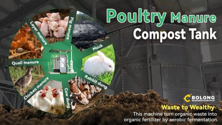 Bolong Showcases Key Innovations at VIV MEA 2025 Abu Dhabi-- Poultry ...